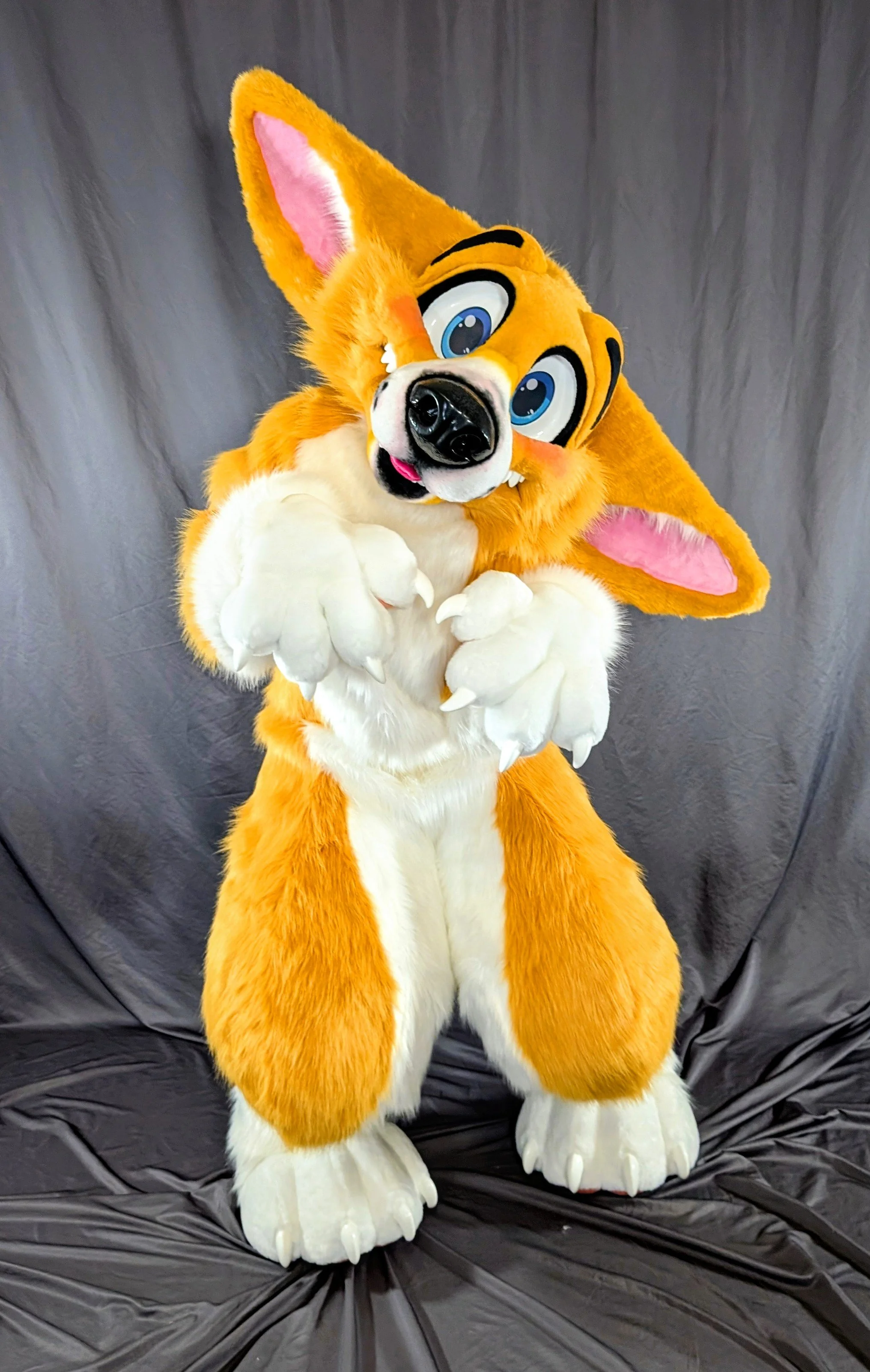 Adoption Peaches — More Fur Less