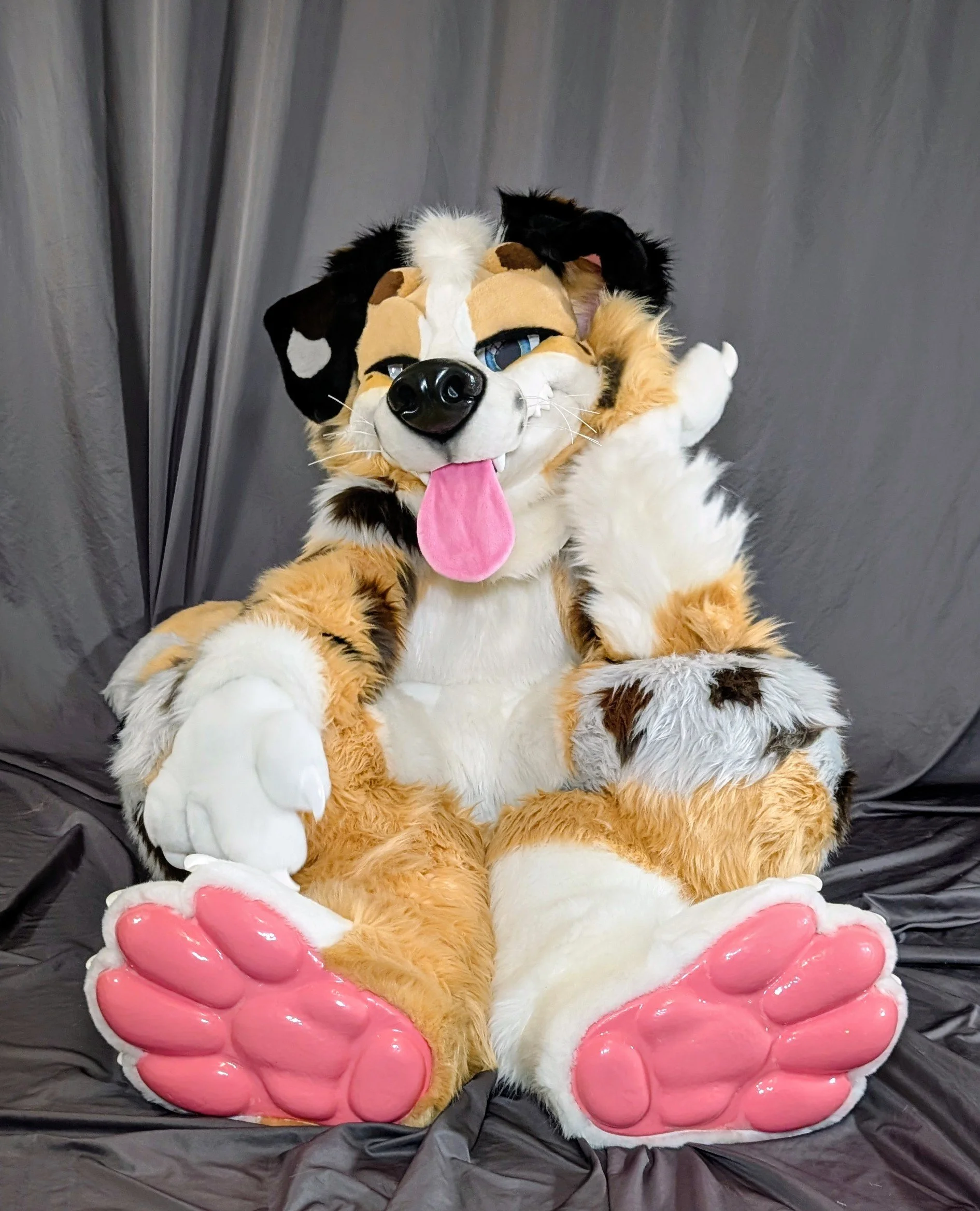 Adoption Lami — More Fur Less