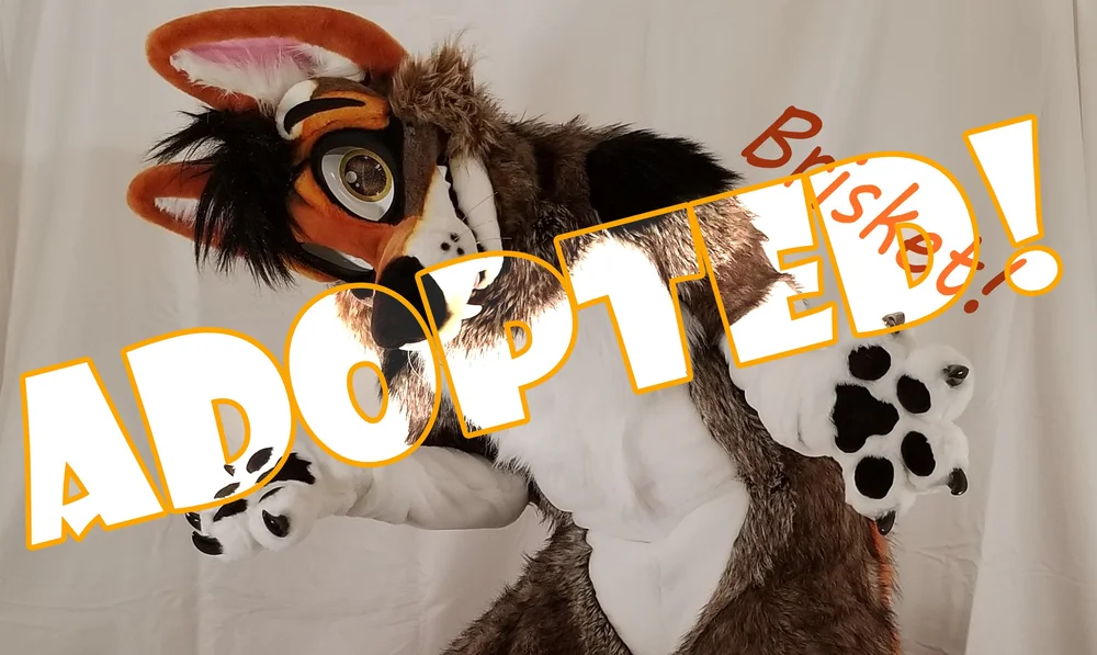 Buy a Fursuit Now — More Fur Less Adoptions — More Fur Less