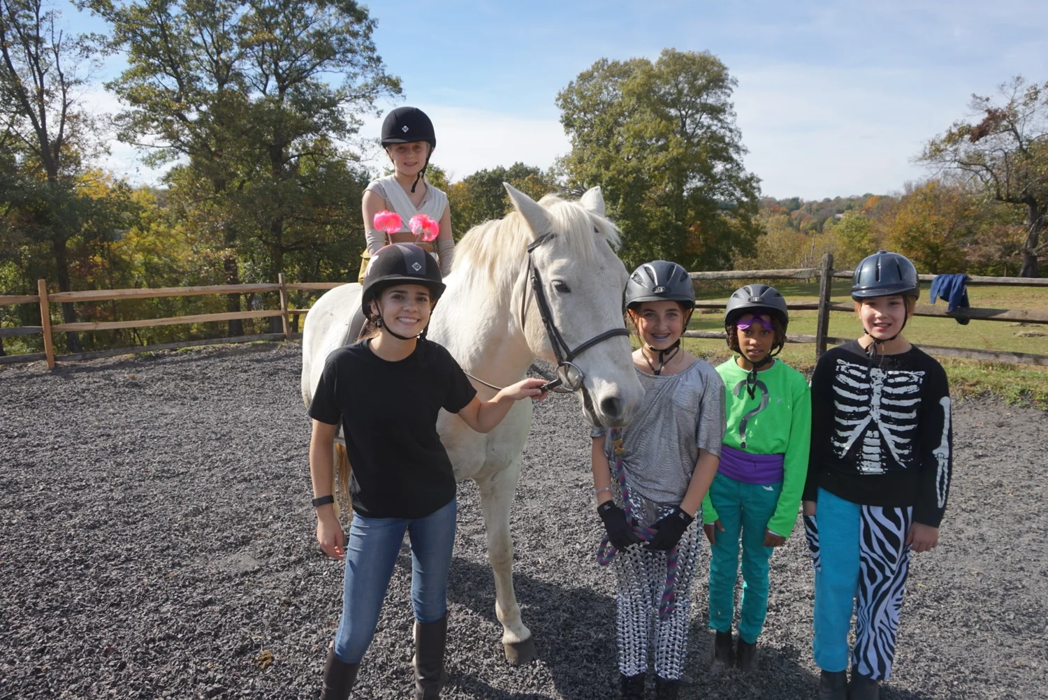 Upcoming Events — Ashford Farm