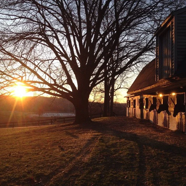 Ashford Farm