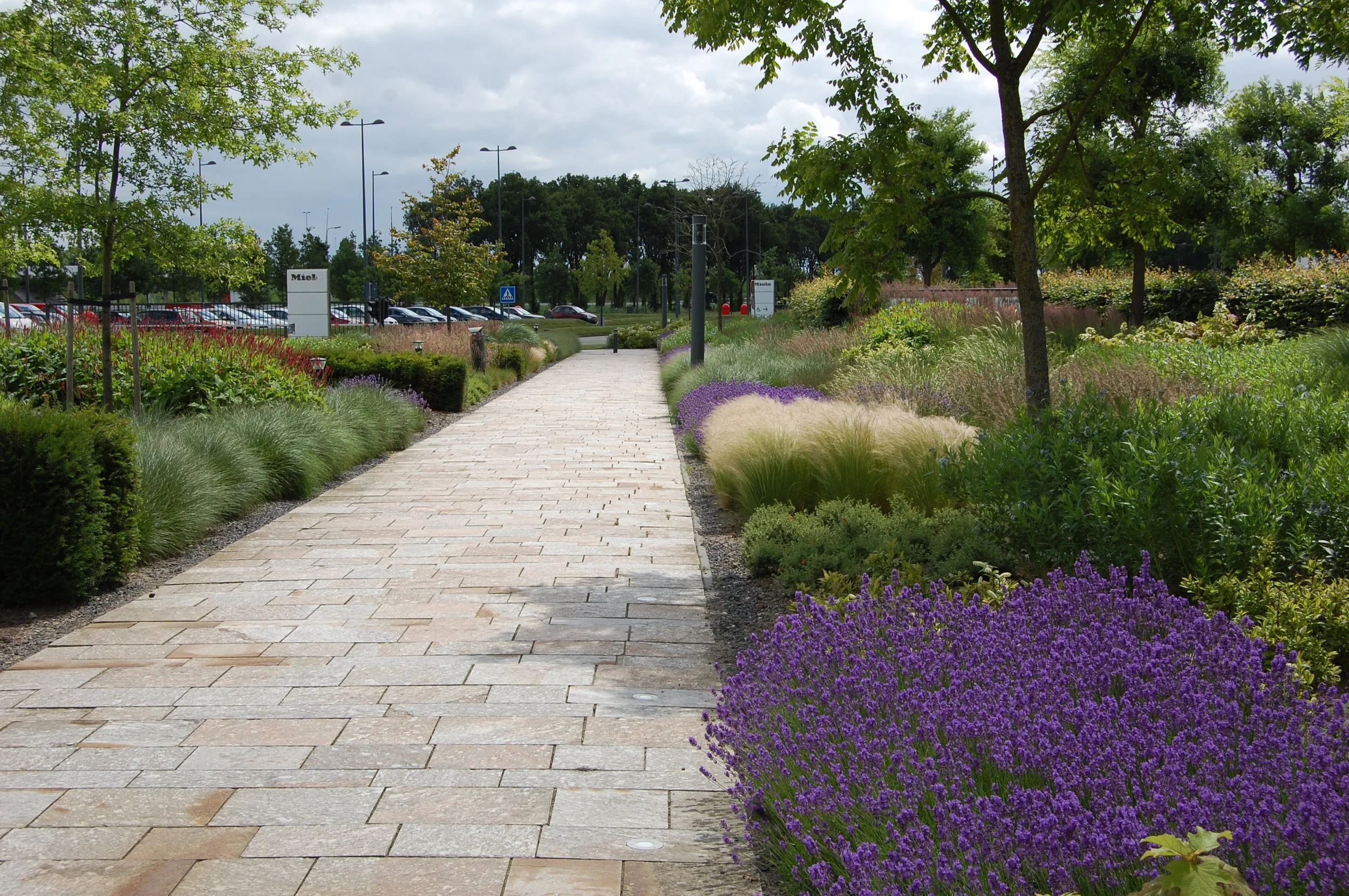 beplantingsplan — Grasveld Tuin- en Landschapsarchitecten