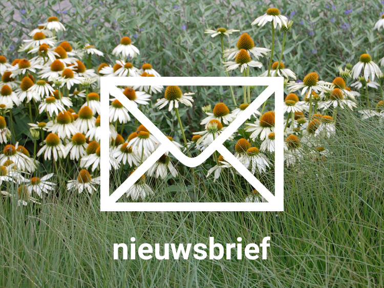 Grasveld Tuin- en Landschapsarchitecten