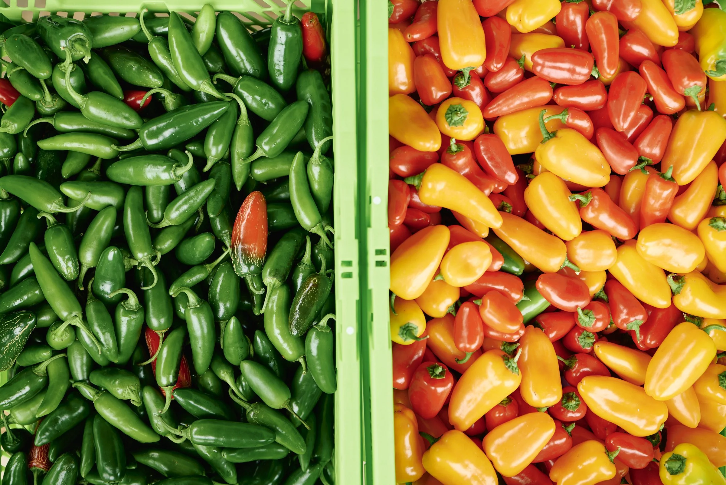 Get Food — CAC Beardsley Community Farm