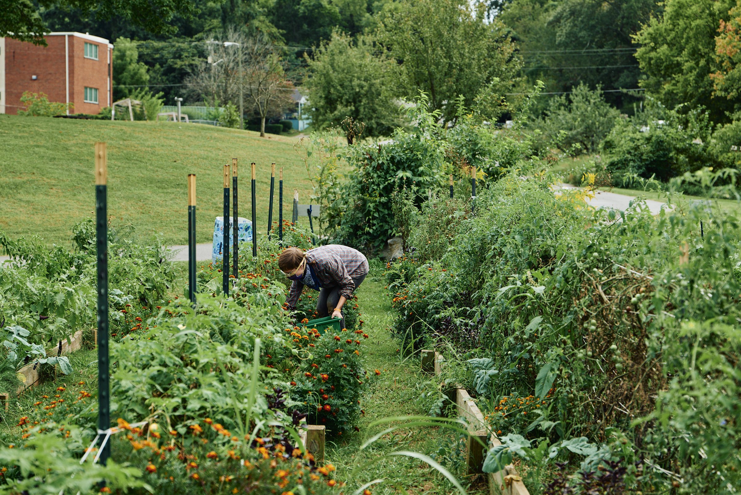 Programs — CAC Beardsley Community Farm