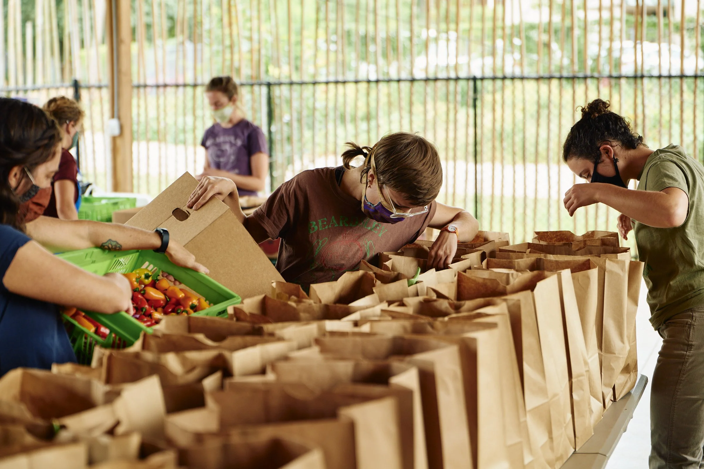 Programs — CAC Beardsley Community Farm