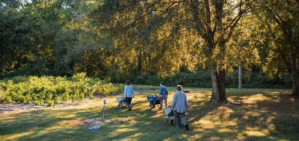 Volunteer — CAC Beardsley Community Farm