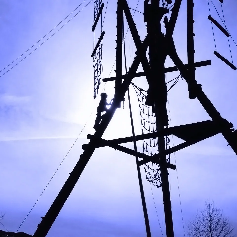 Ropes Course — WOLF | Outdoor Education in Southern California
