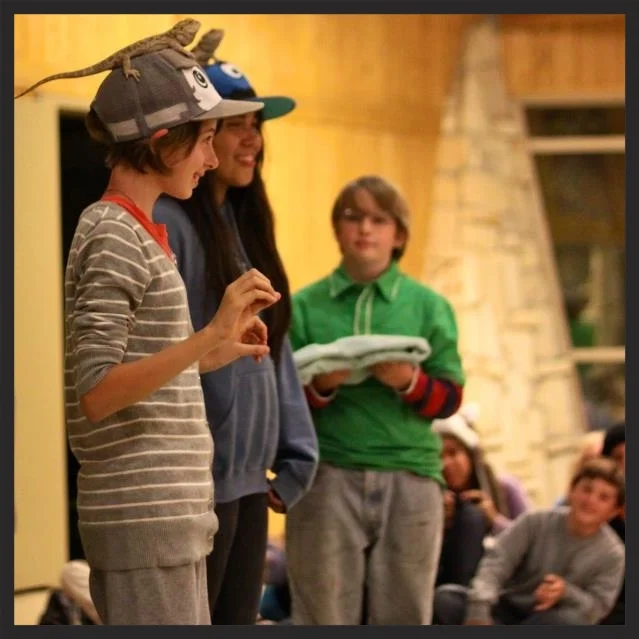 Best Science and STEM Camps for Schools — WOLF | Outdoor Education for ...