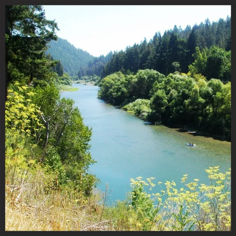 Russian River Canoe — WOLF | Outdoor Education in Southern California