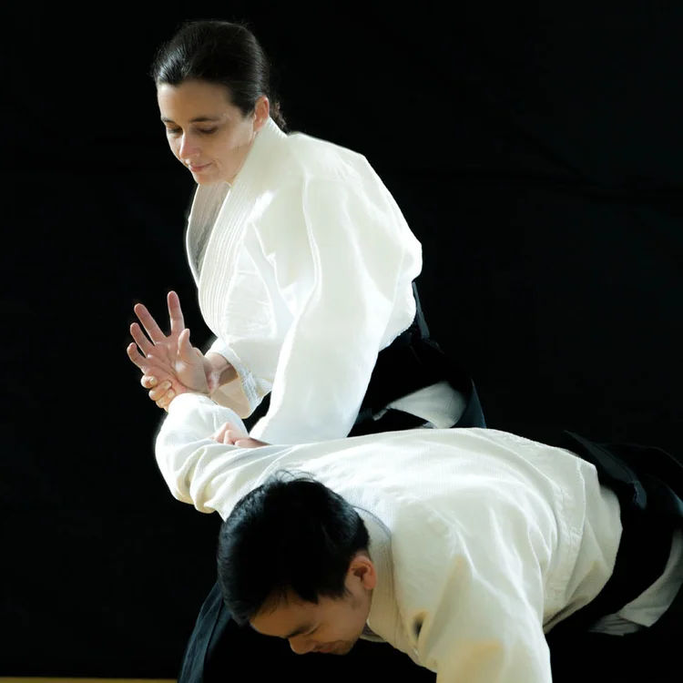 Gallery — UNSW Kokikai Aikido