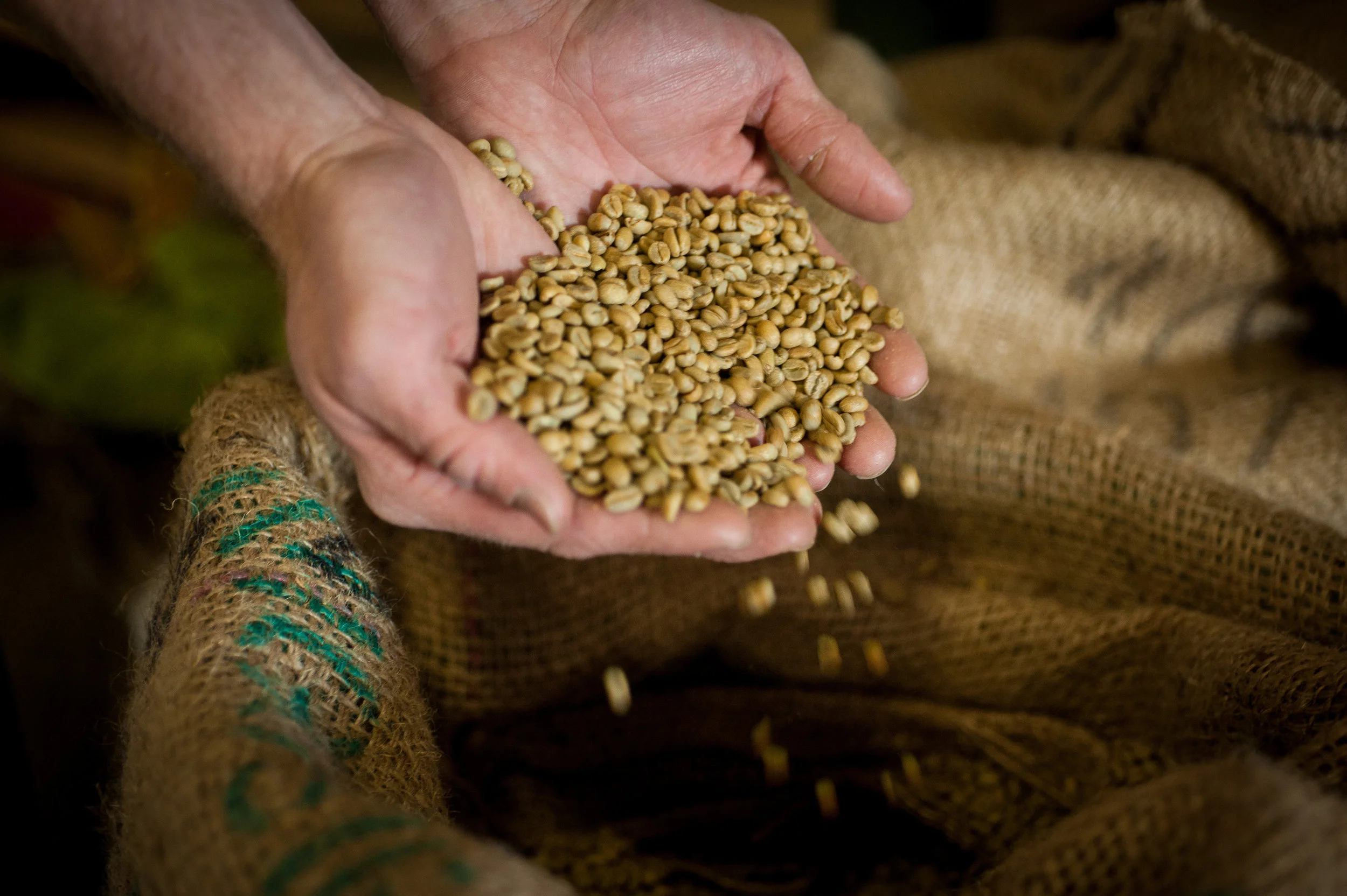 2Ten Coffee Roasters | El Paso Specialty Coffee Roasters & Cafe