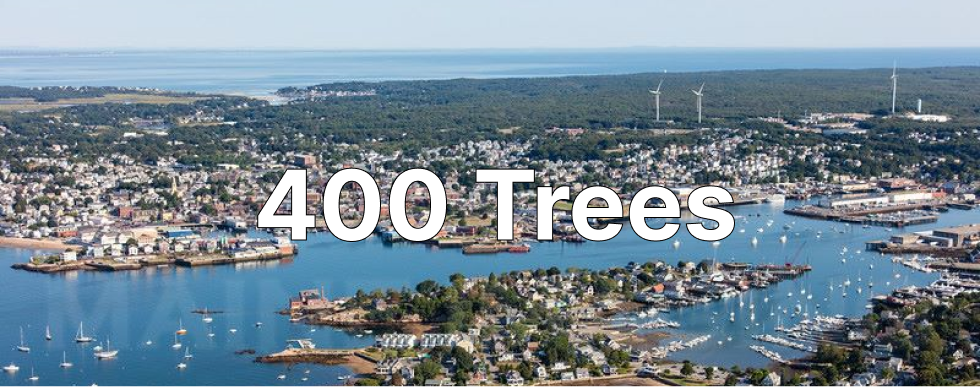 400 Trees Project — Biomimicry New England