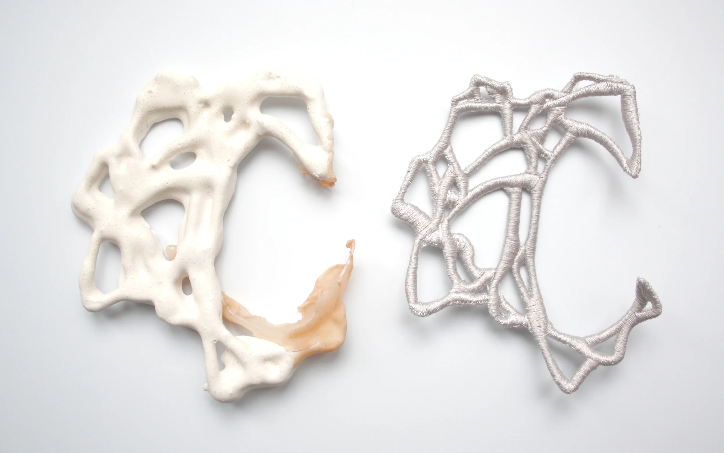 Biological Atelier : SS 2082 'Extinct' — AMY CONGDON