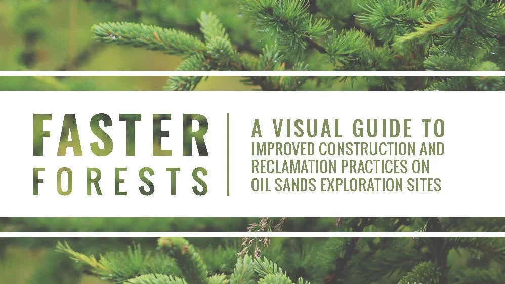 Fuse Consulting Ltd.