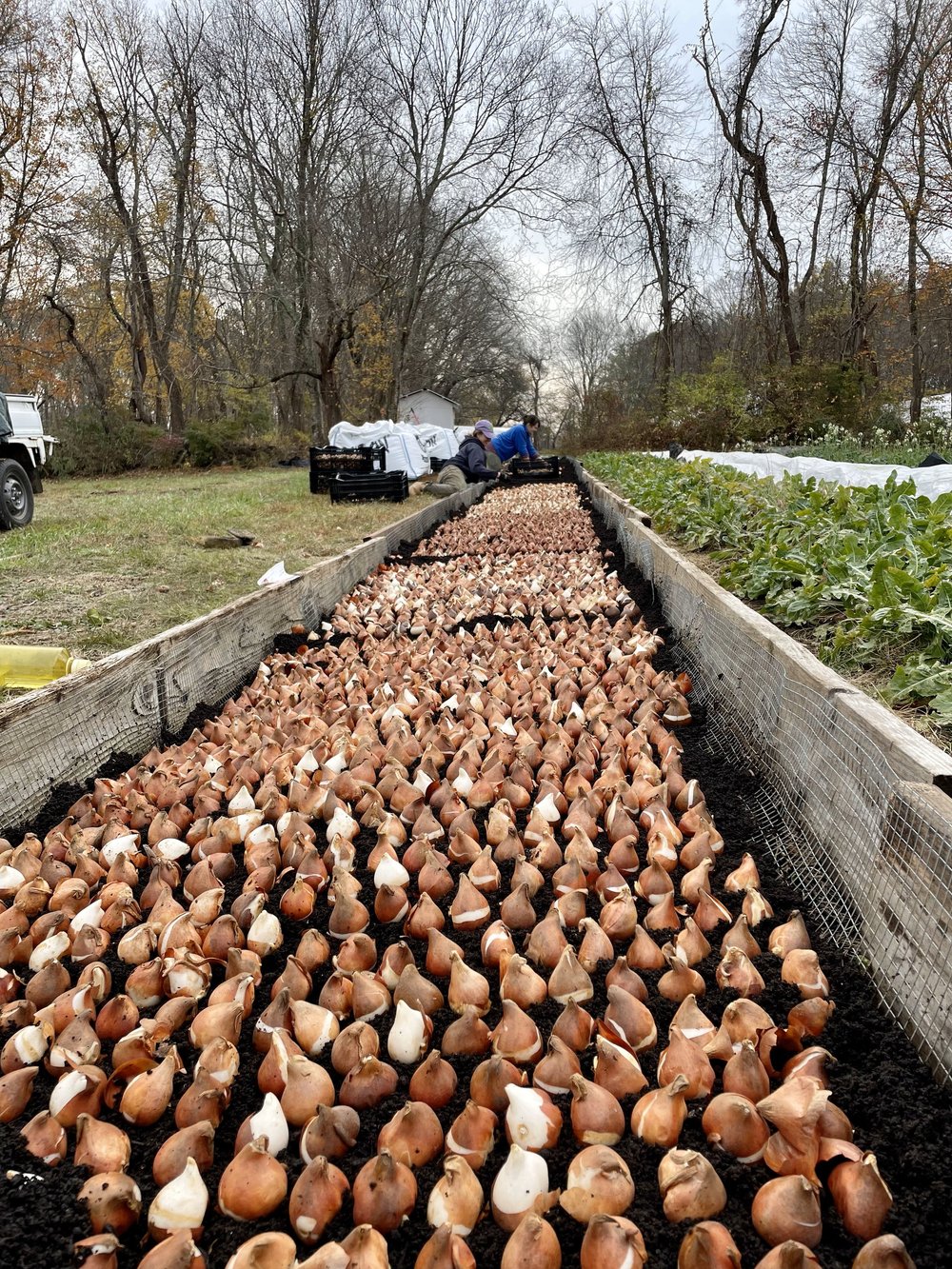 The Blog — Four Root Farm