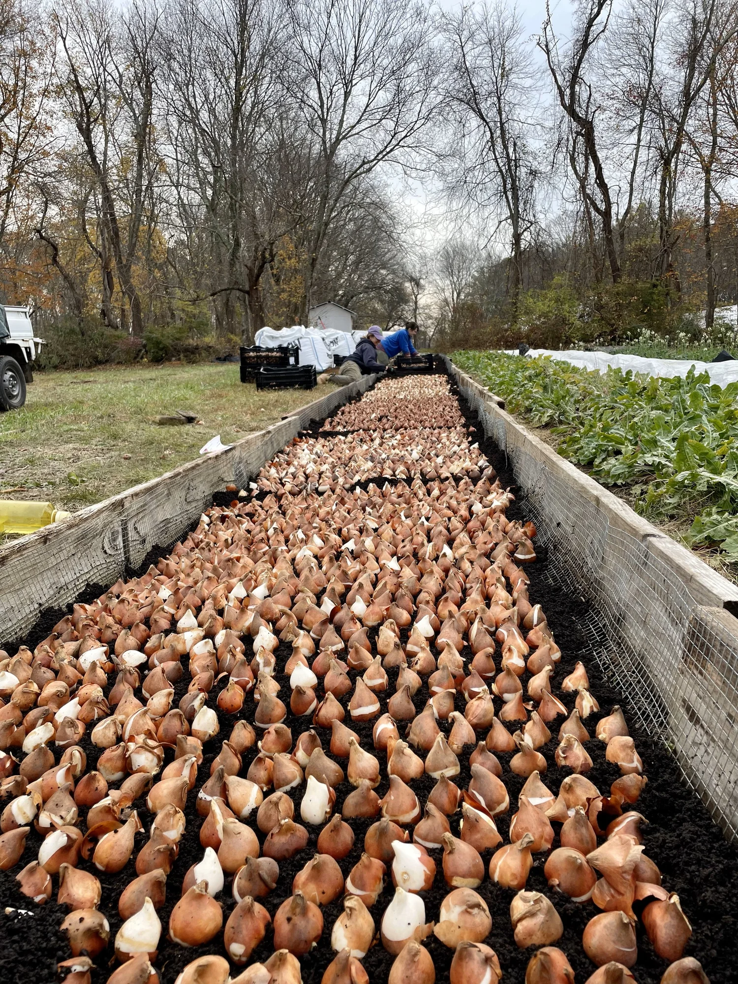 The Blog — Four Root Farm