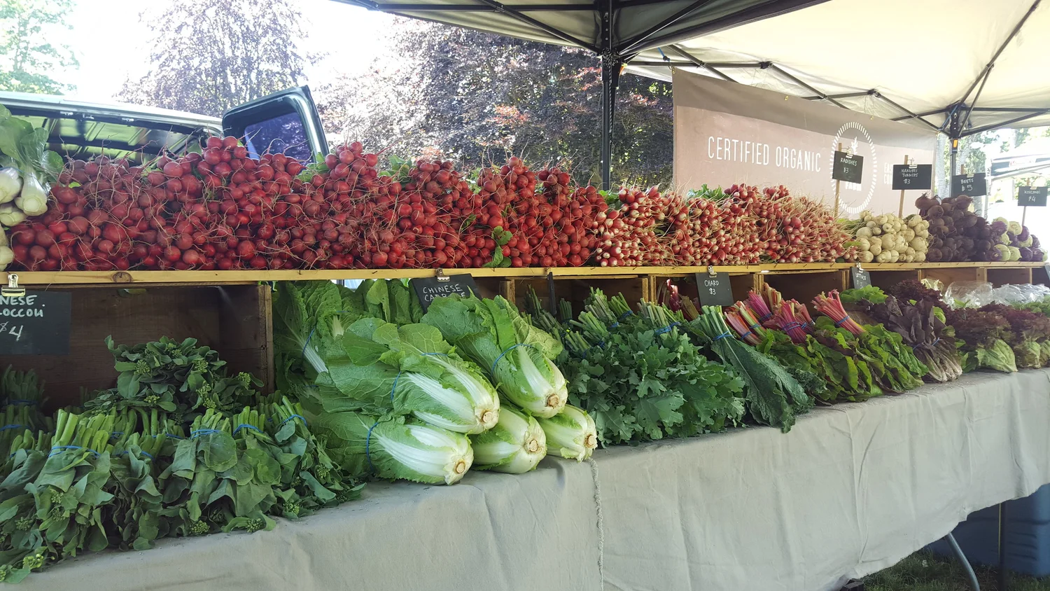 Farmers' Markets — Four Root Farm