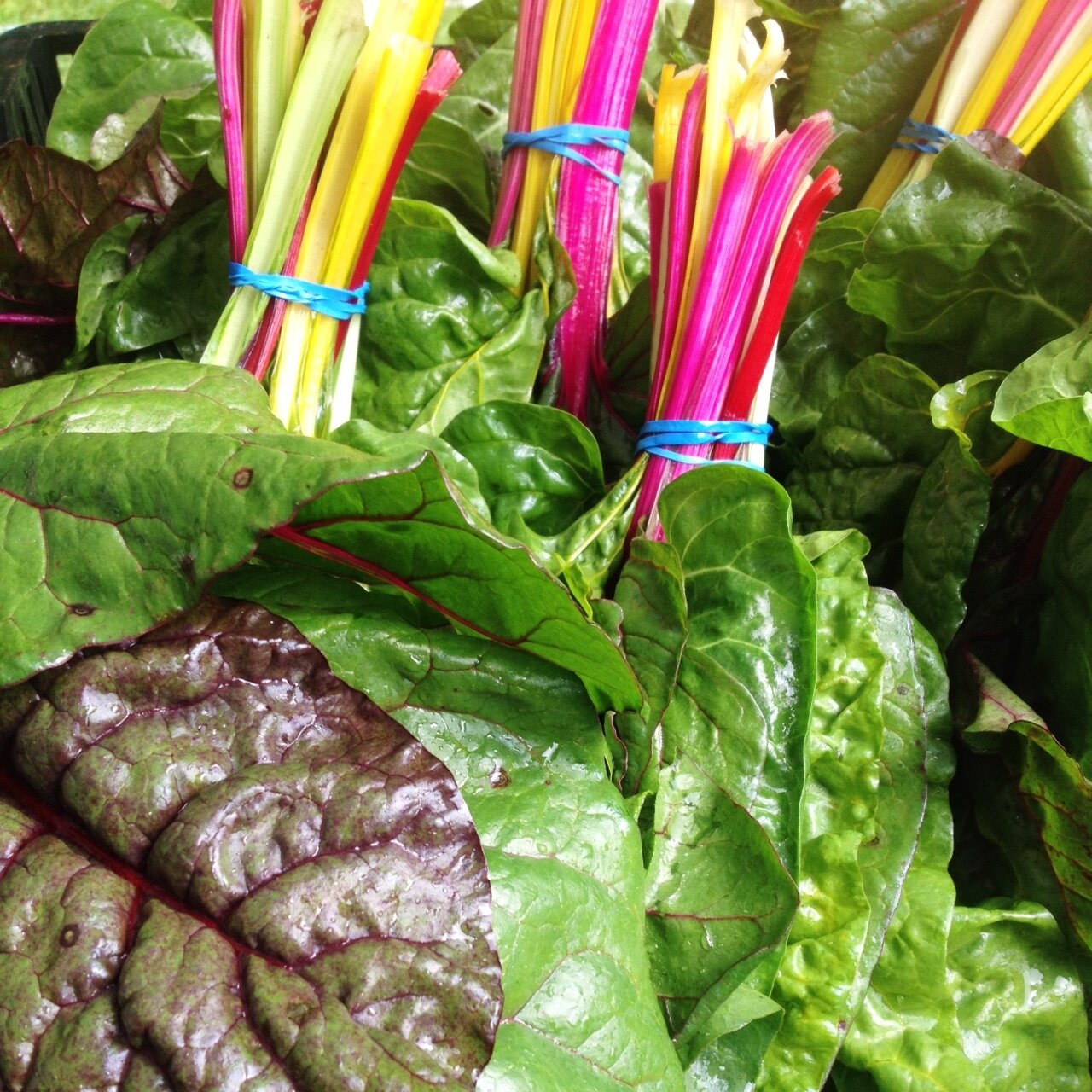 Shop — Four Root Farm