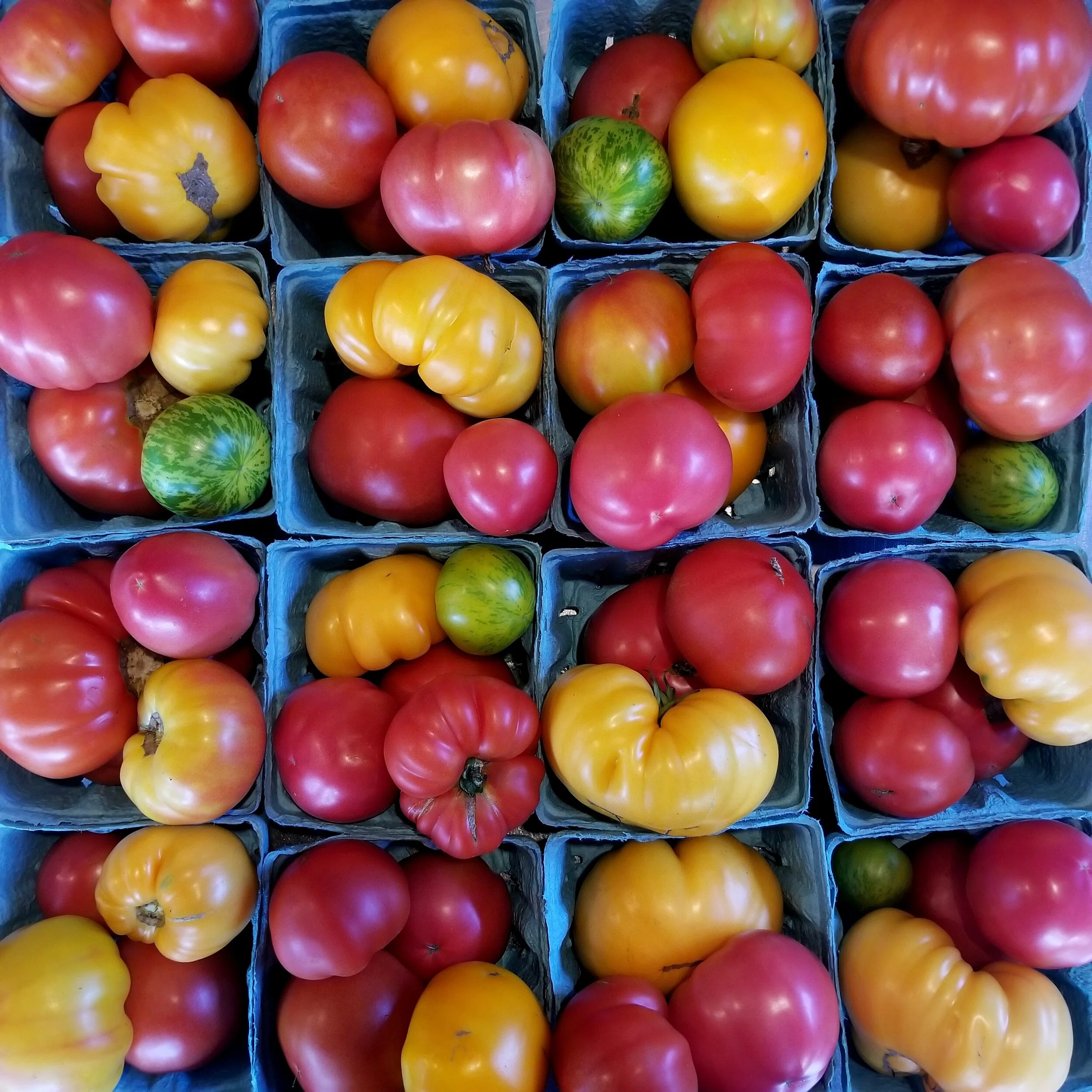 Shop — Four Root Farm