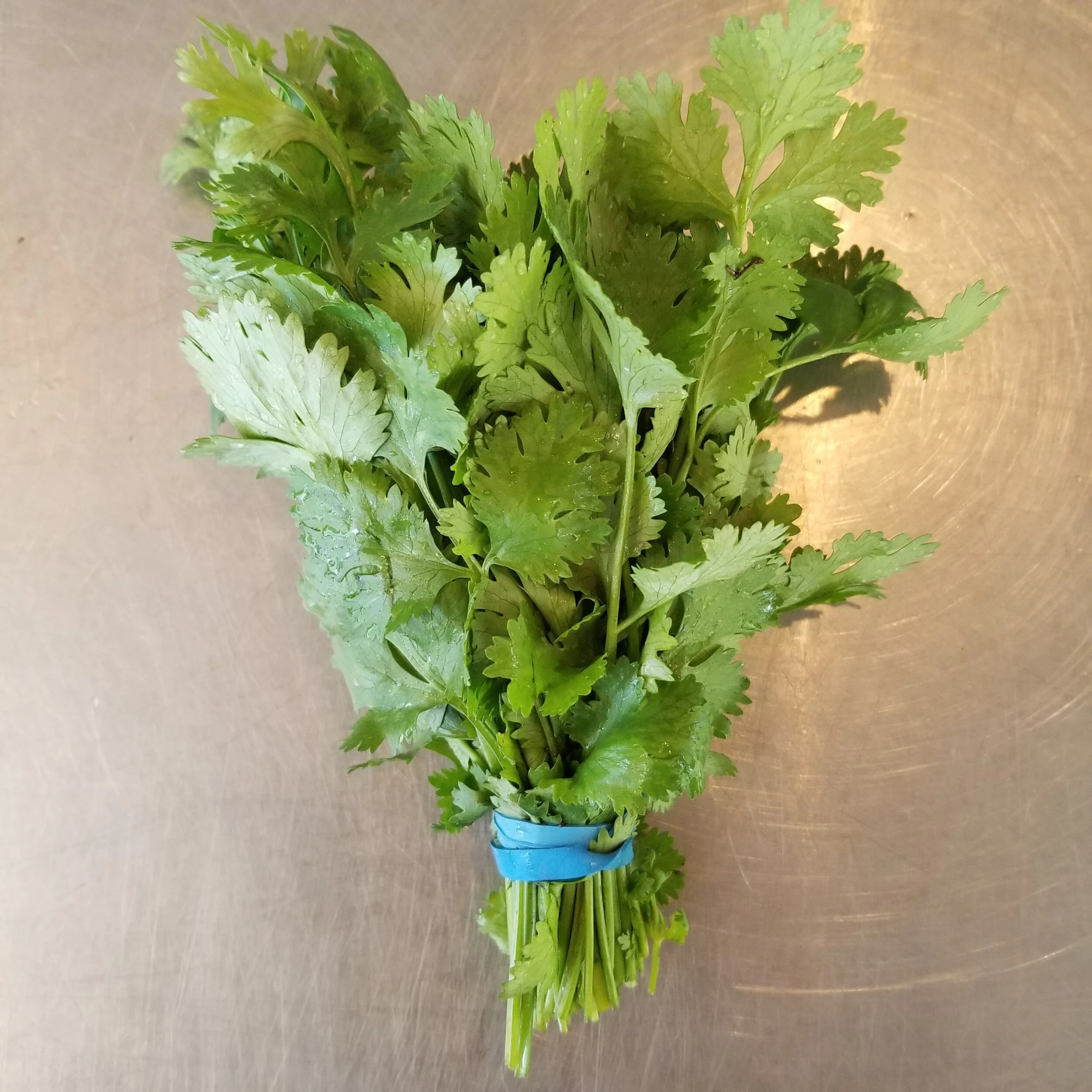 Shop — Four Root Farm