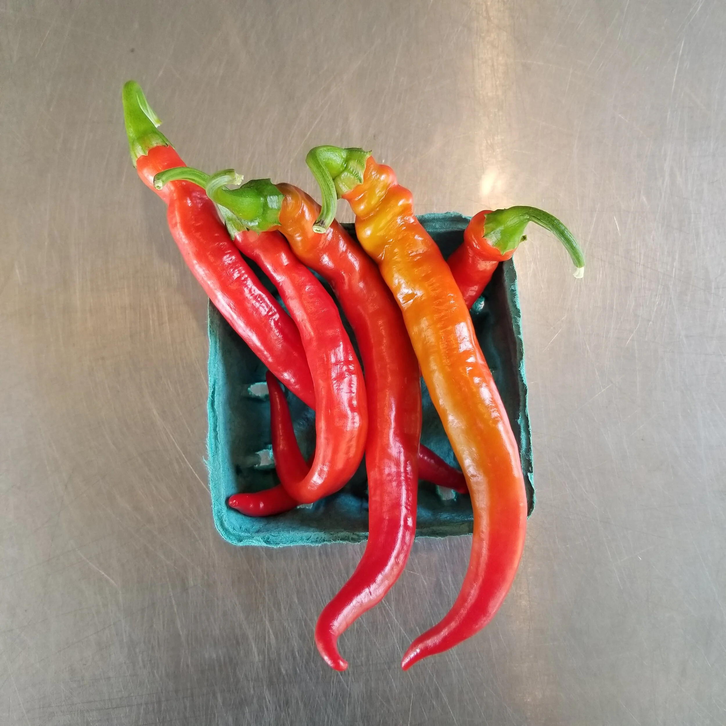 Shop — Four Root Farm