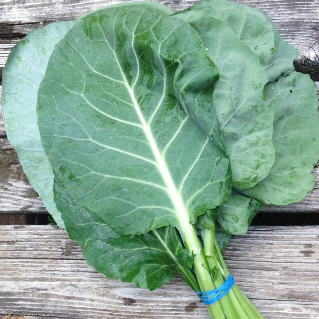 Shop — Four Root Farm