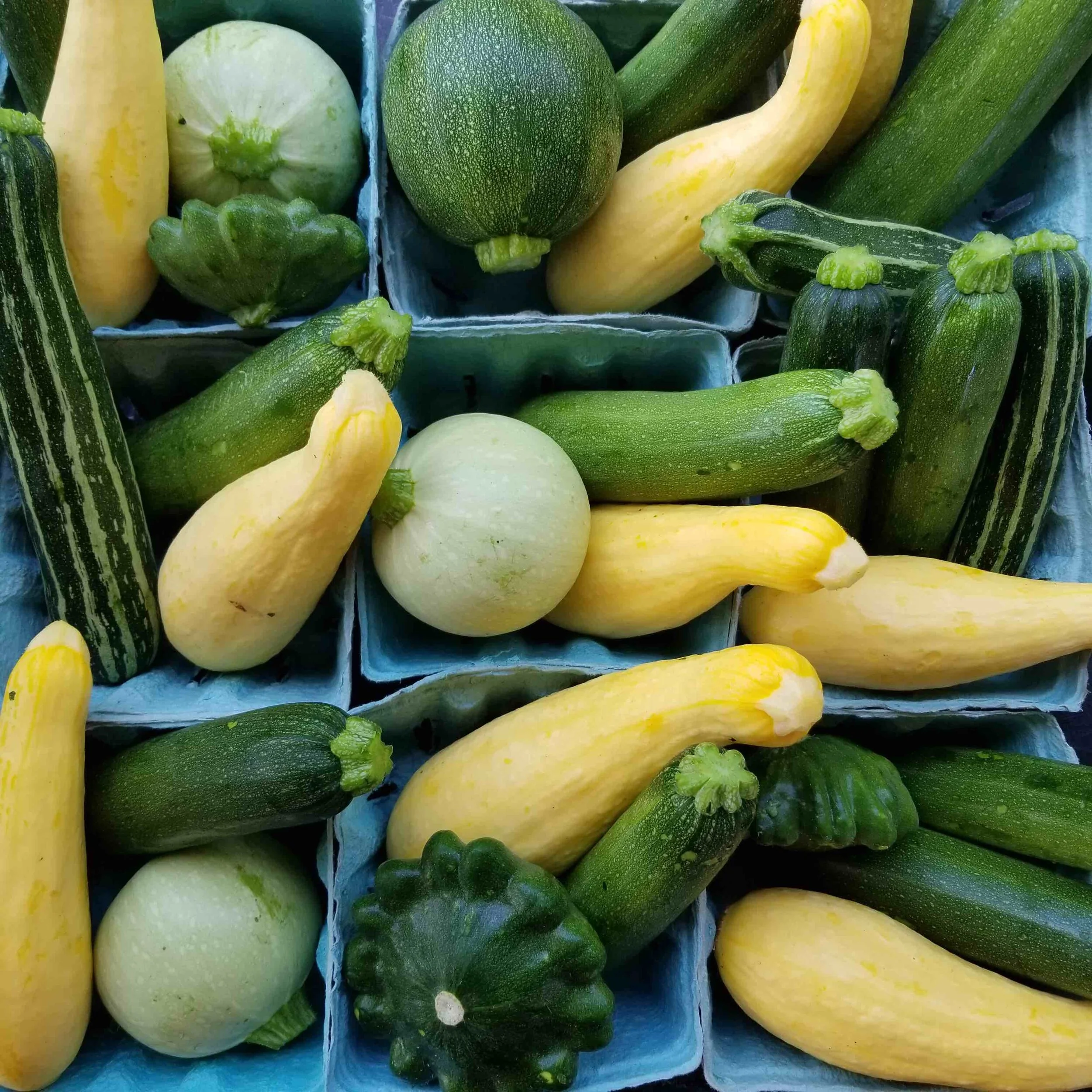 Shop — Four Root Farm