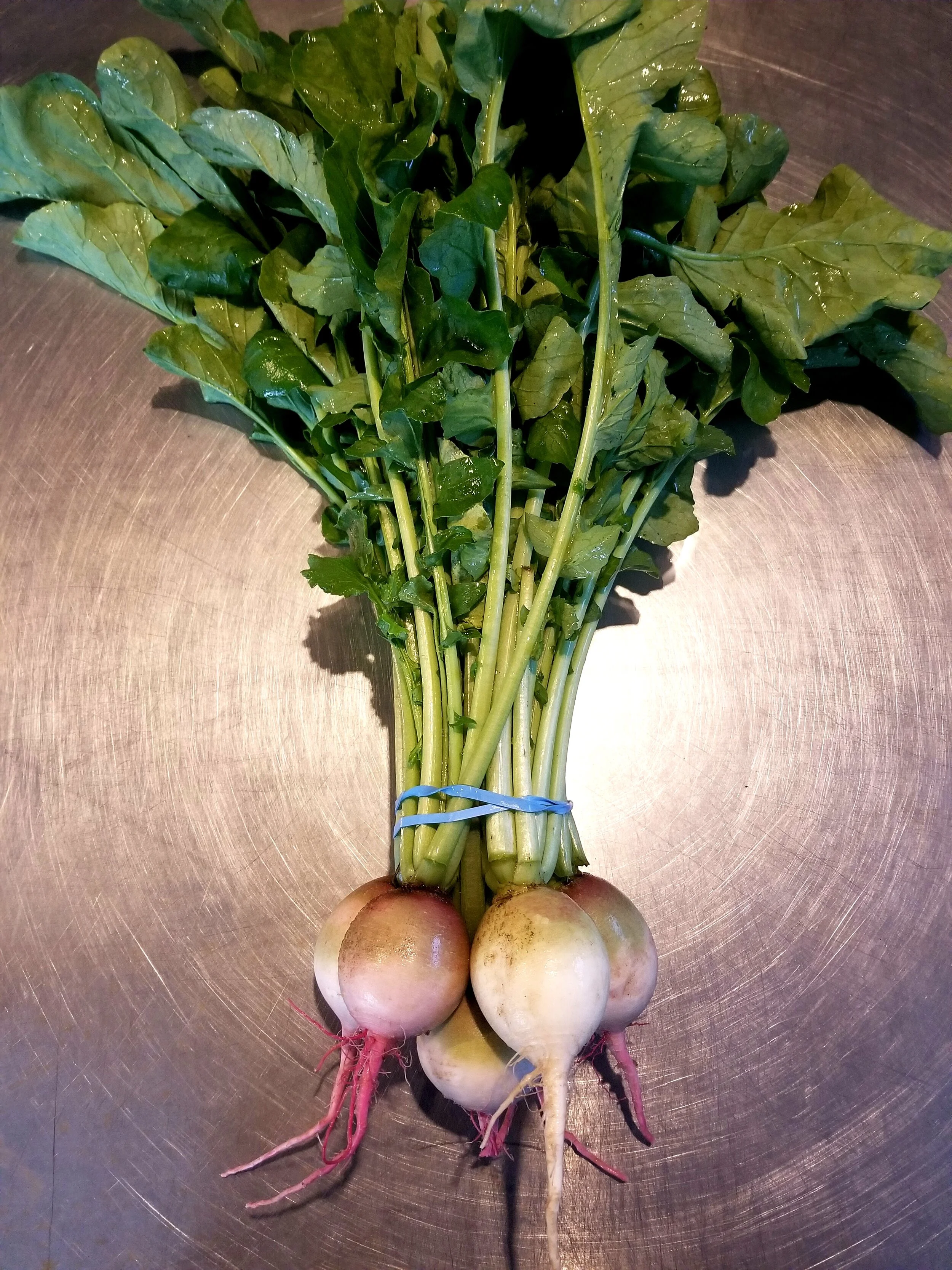 Shop — Four Root Farm