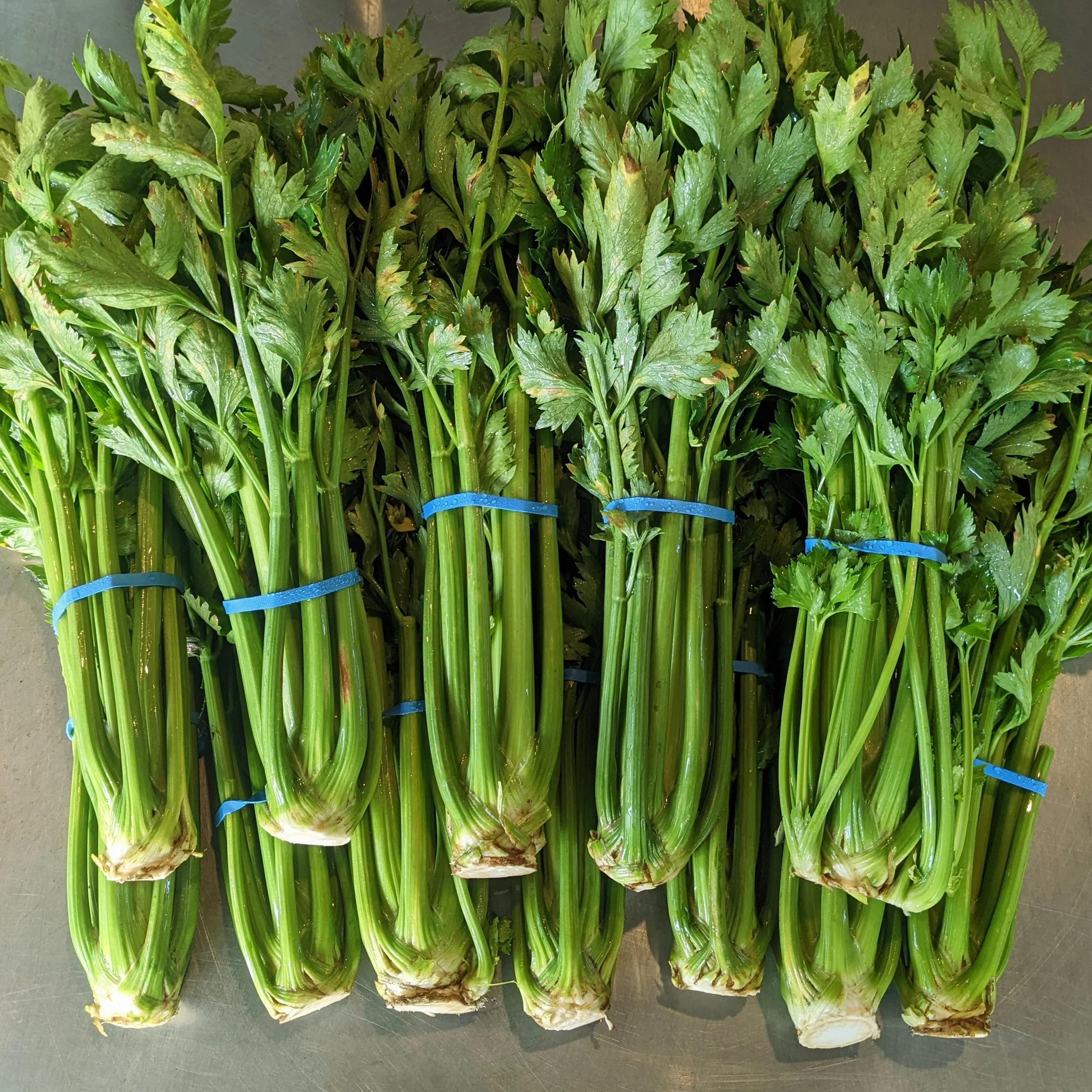 Shop — Four Root Farm