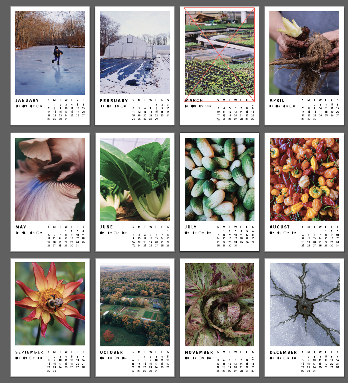 Shop — Four Root Farm