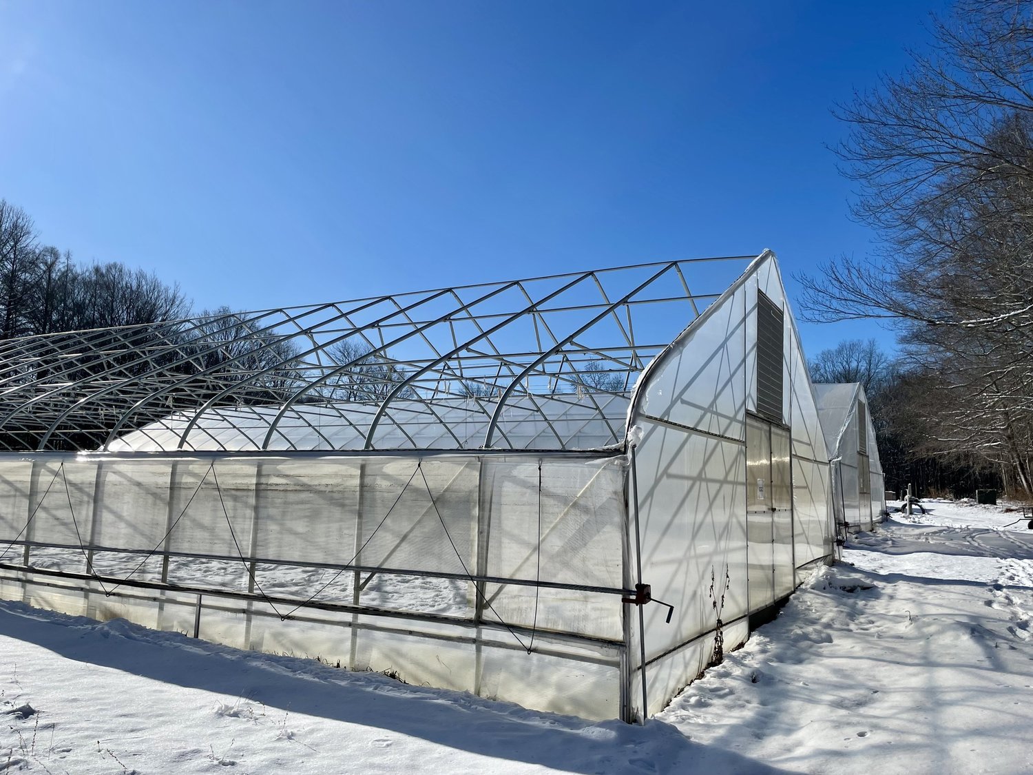 The Blog — Four Root Farm