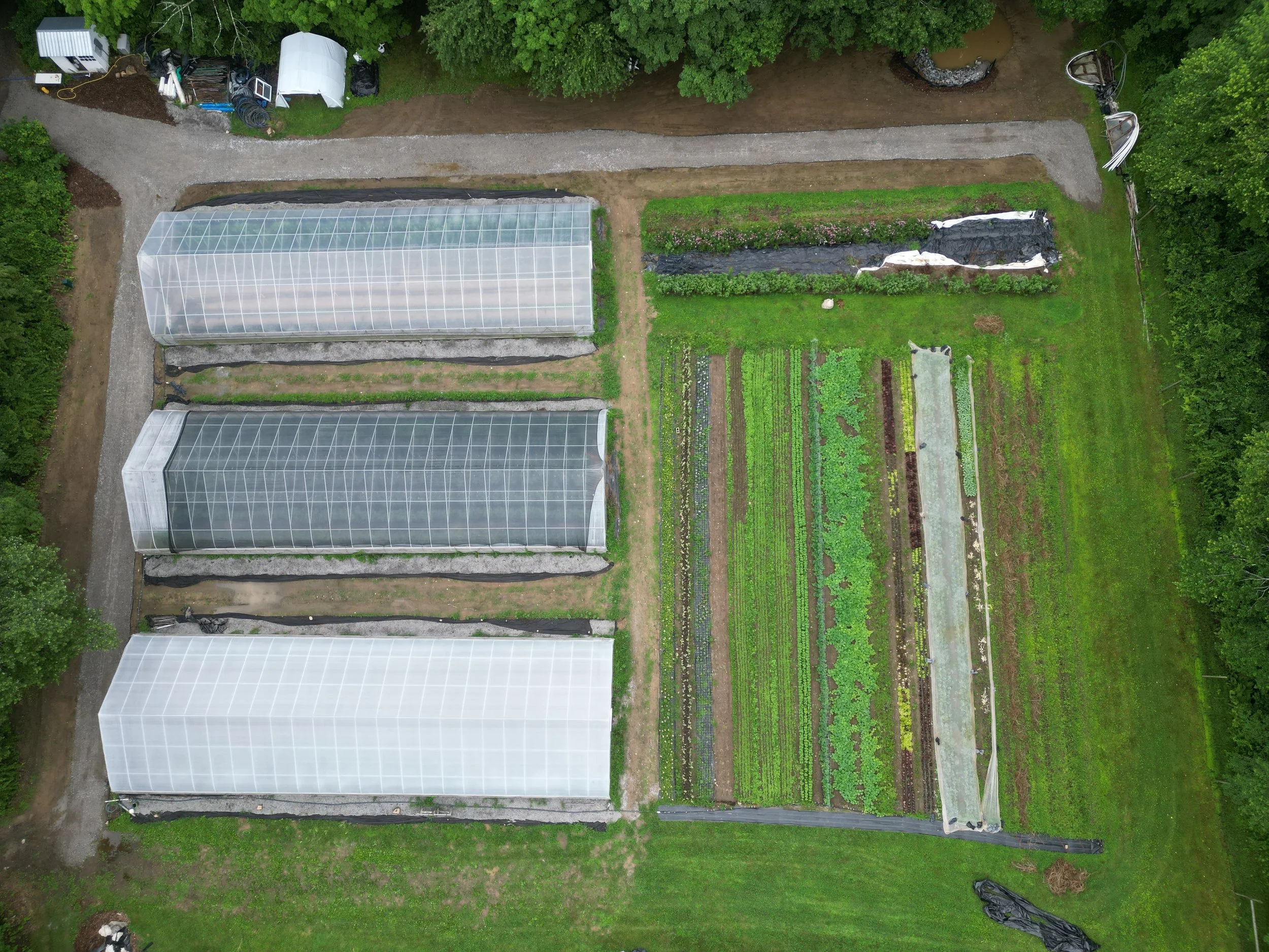 The Blog — Four Root Farm