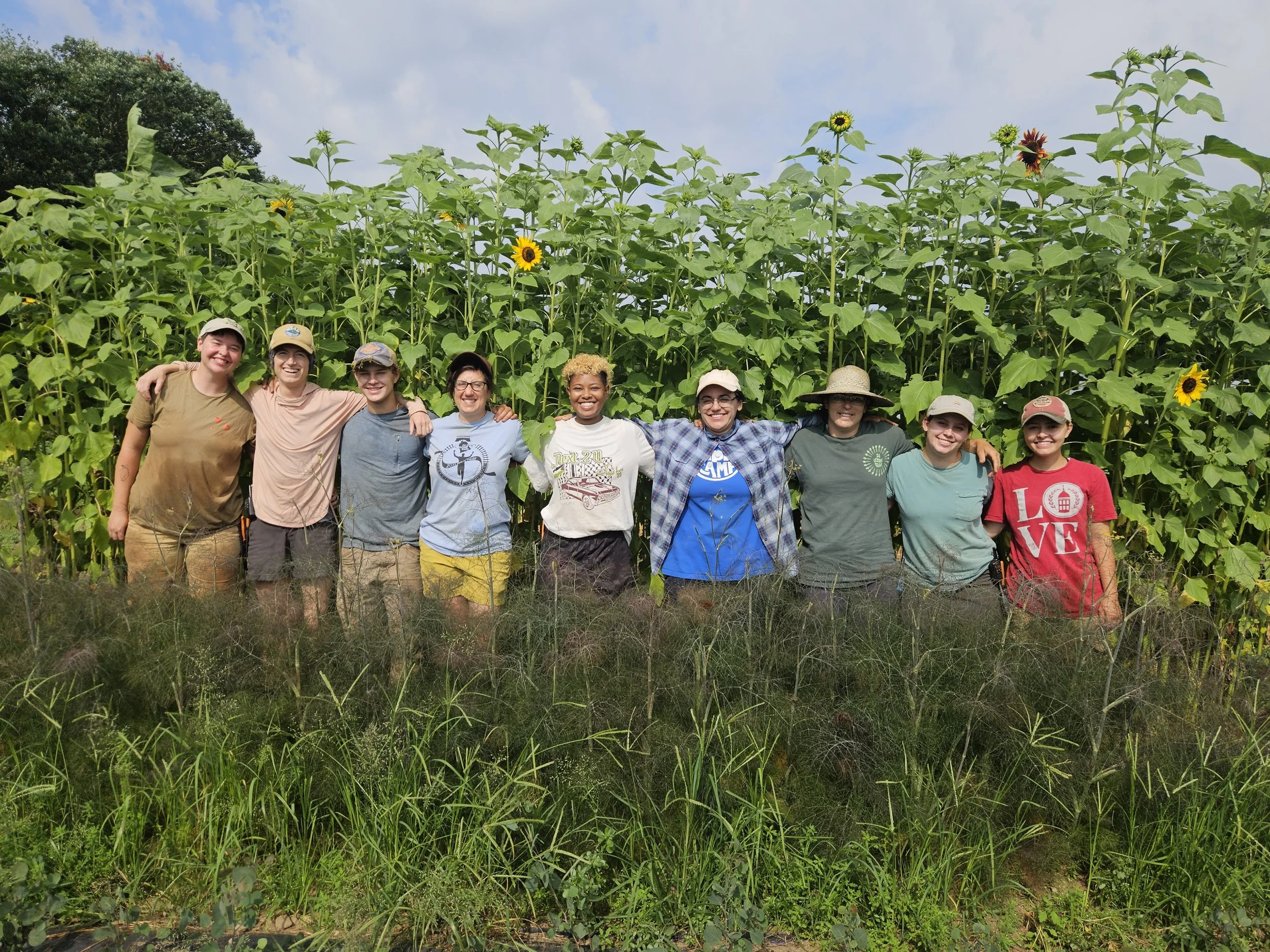 The Blog — Four Root Farm