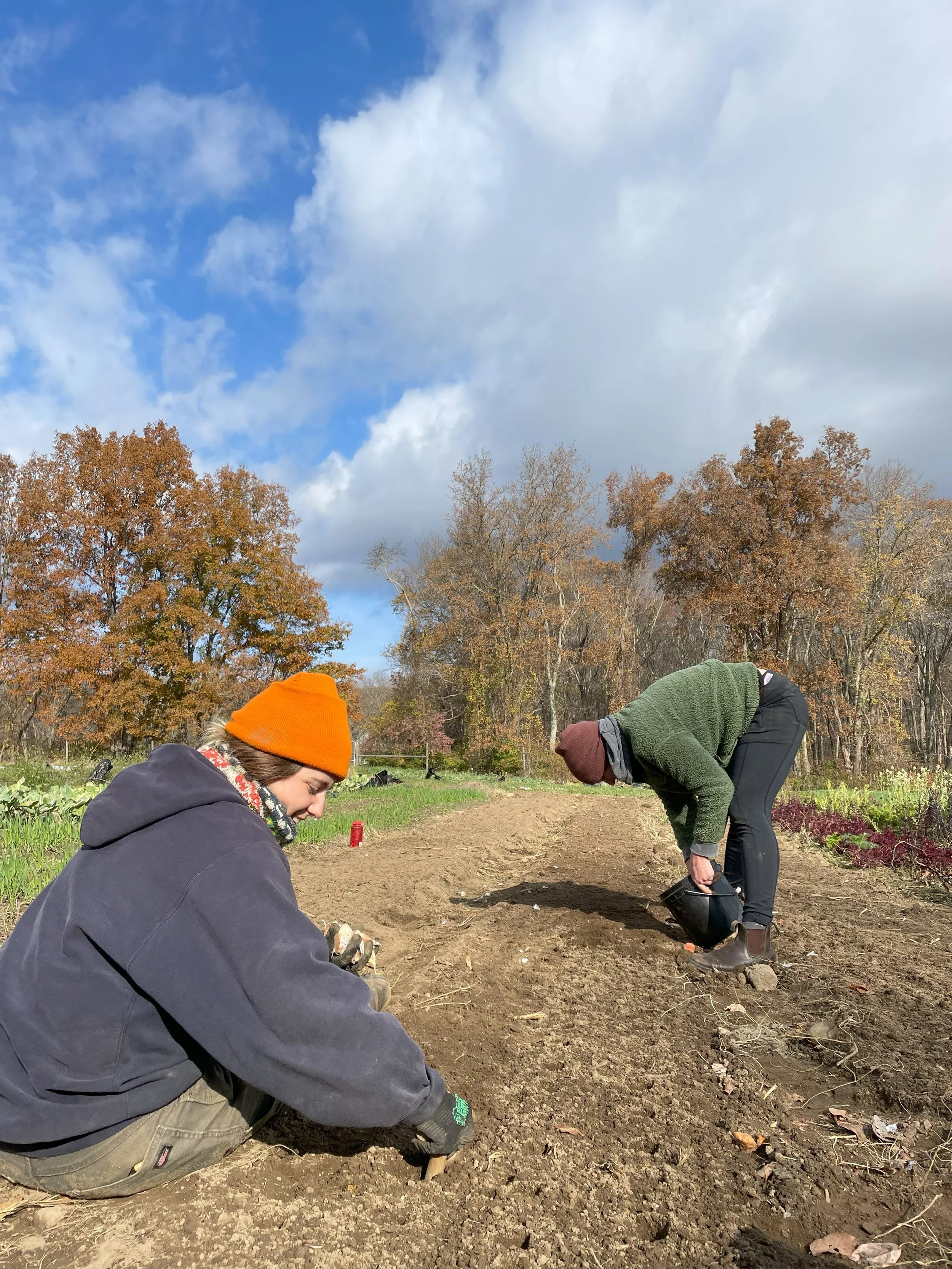 The Blog — Four Root Farm