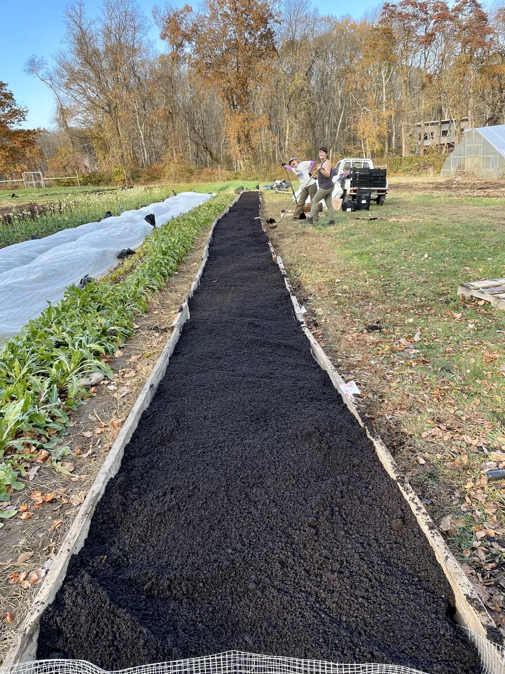 The Blog — Four Root Farm