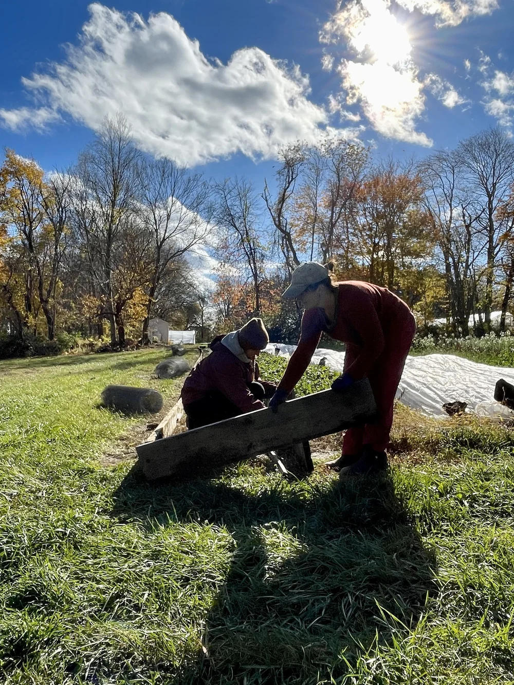 The Blog — Four Root Farm