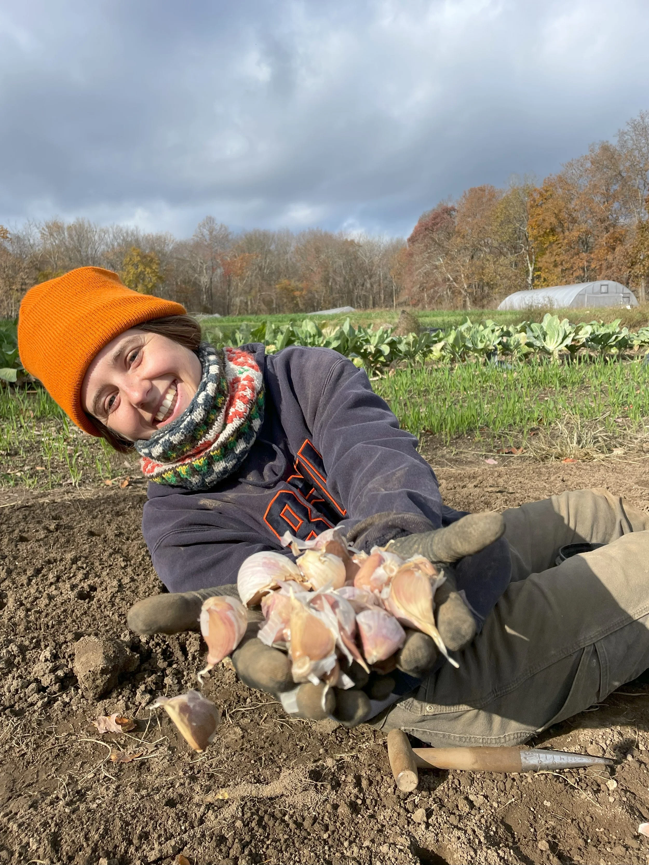 The Blog — Four Root Farm