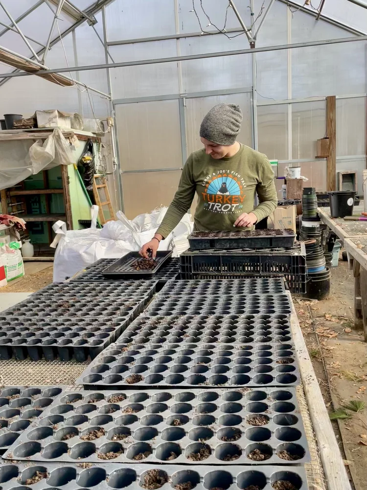 The Blog — Four Root Farm