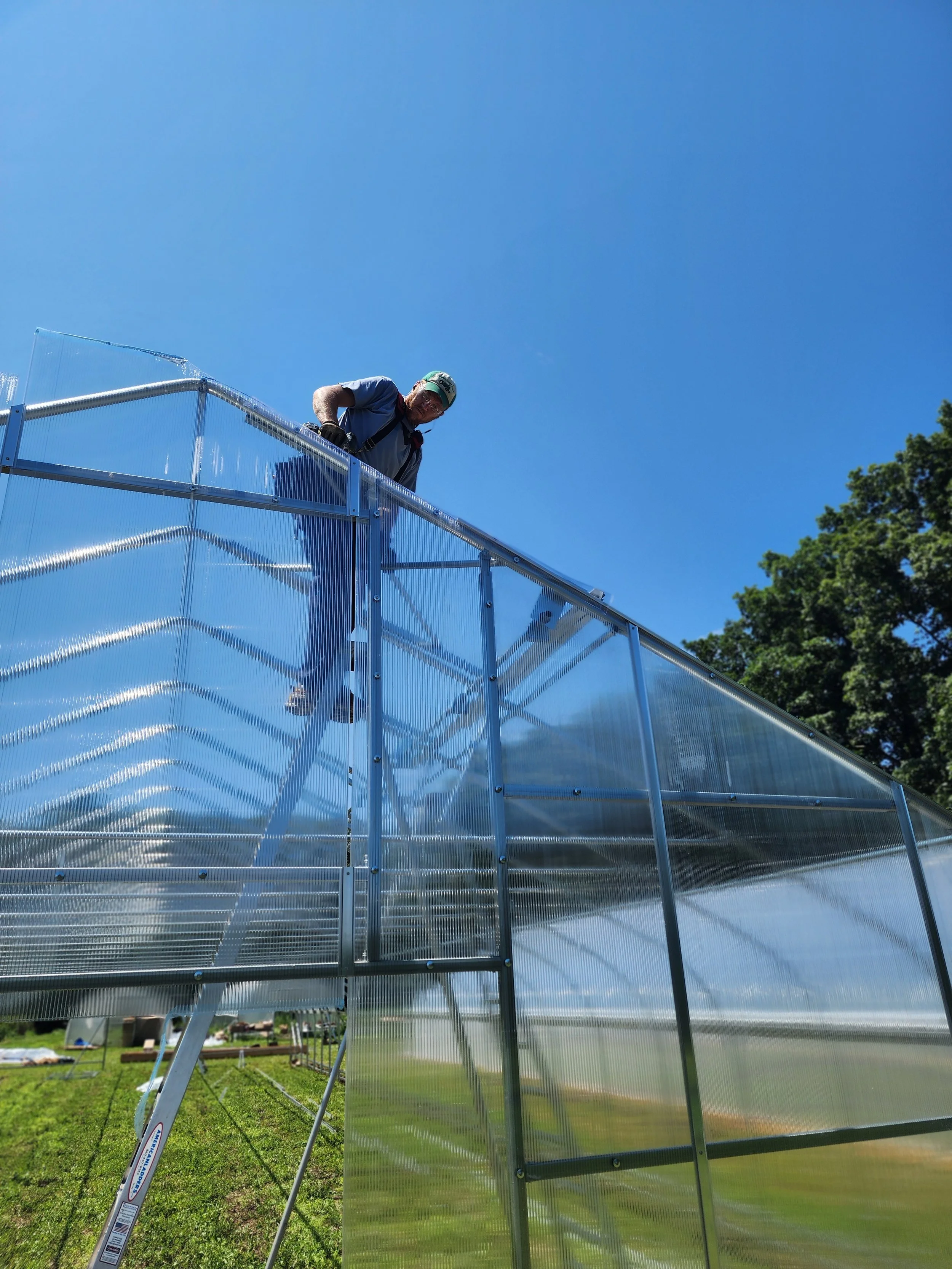 The Blog — Four Root Farm