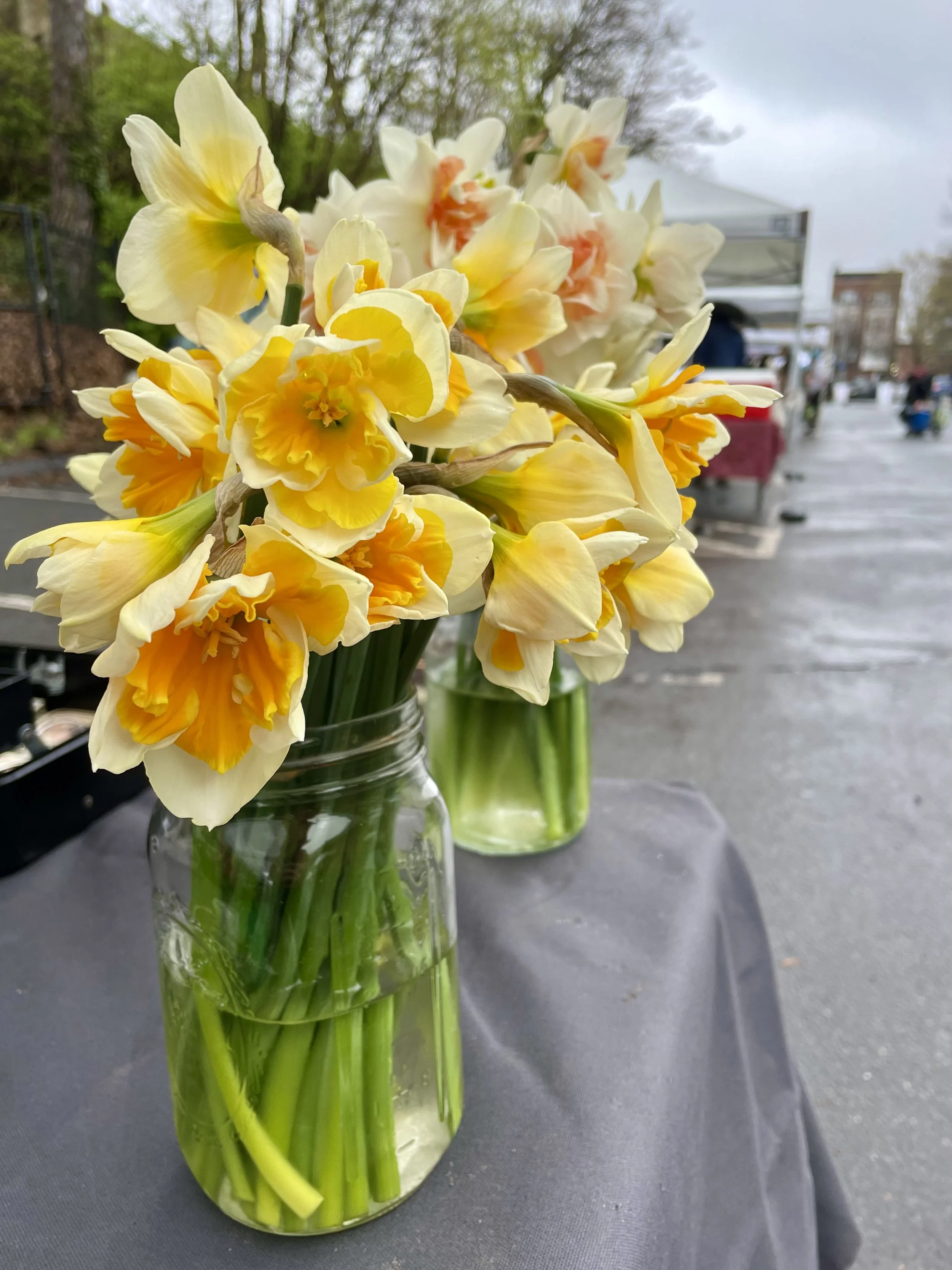 The Blog — Four Root Farm