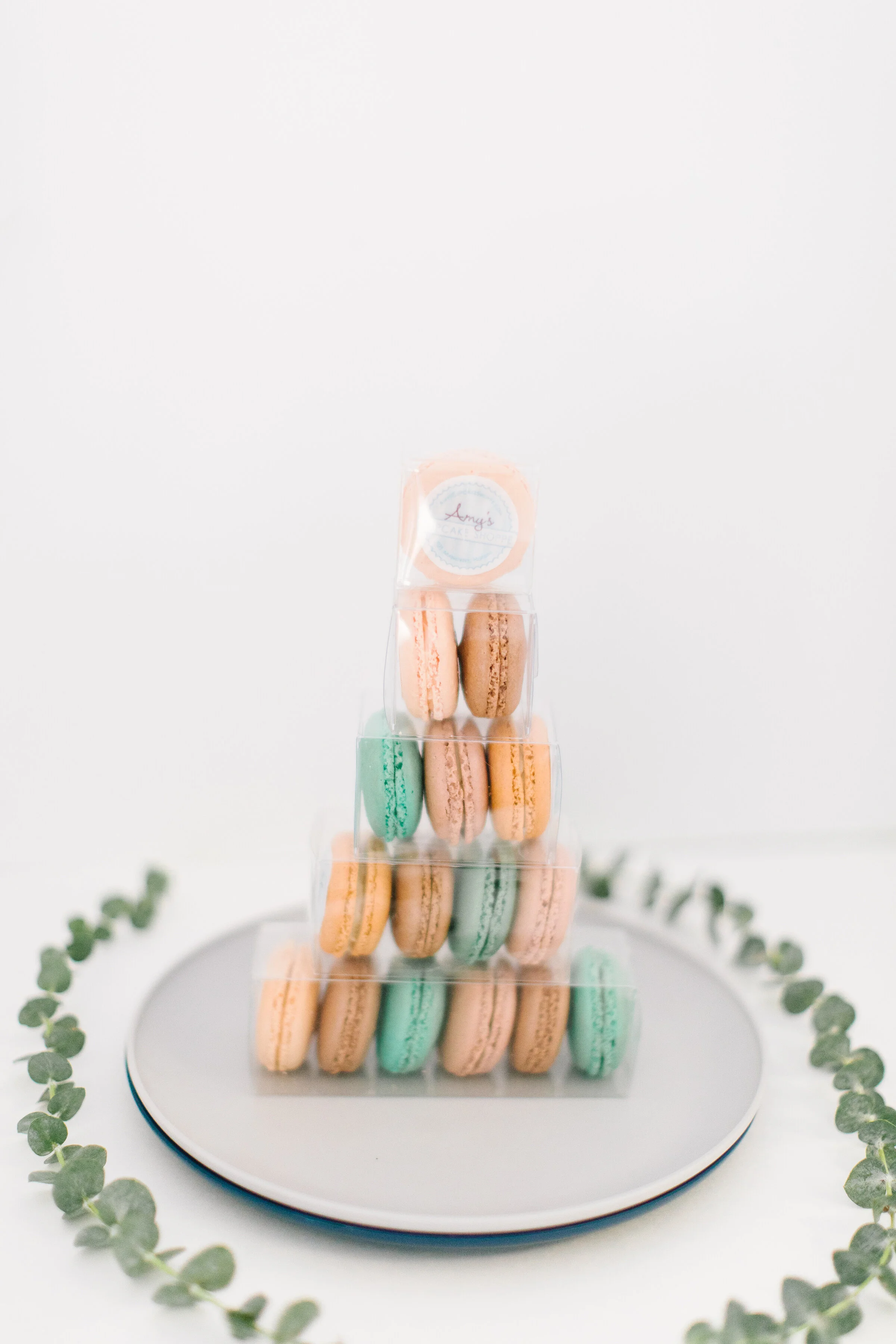 Amy's Cupcake Shoppe