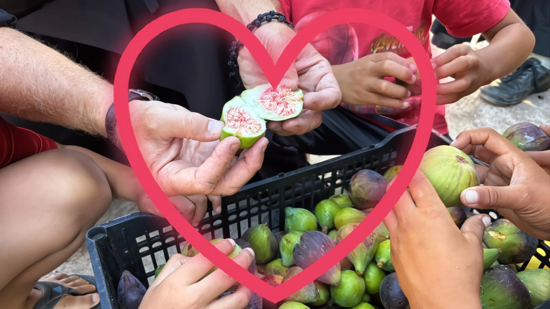 St. Innocent Orphanage — Project Mexico and St Innocent Orphanage - News