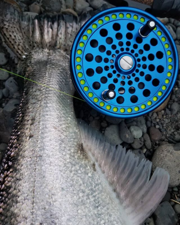 Kingpin Reels - Imperial 474 — Kingpin