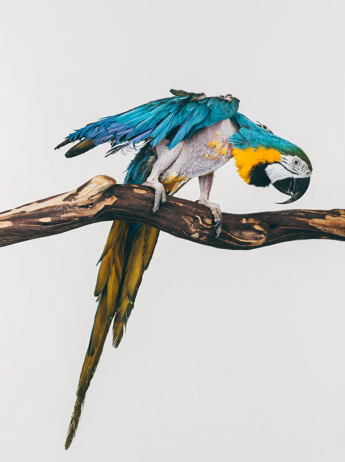 earthbound — Oliver Regueiro