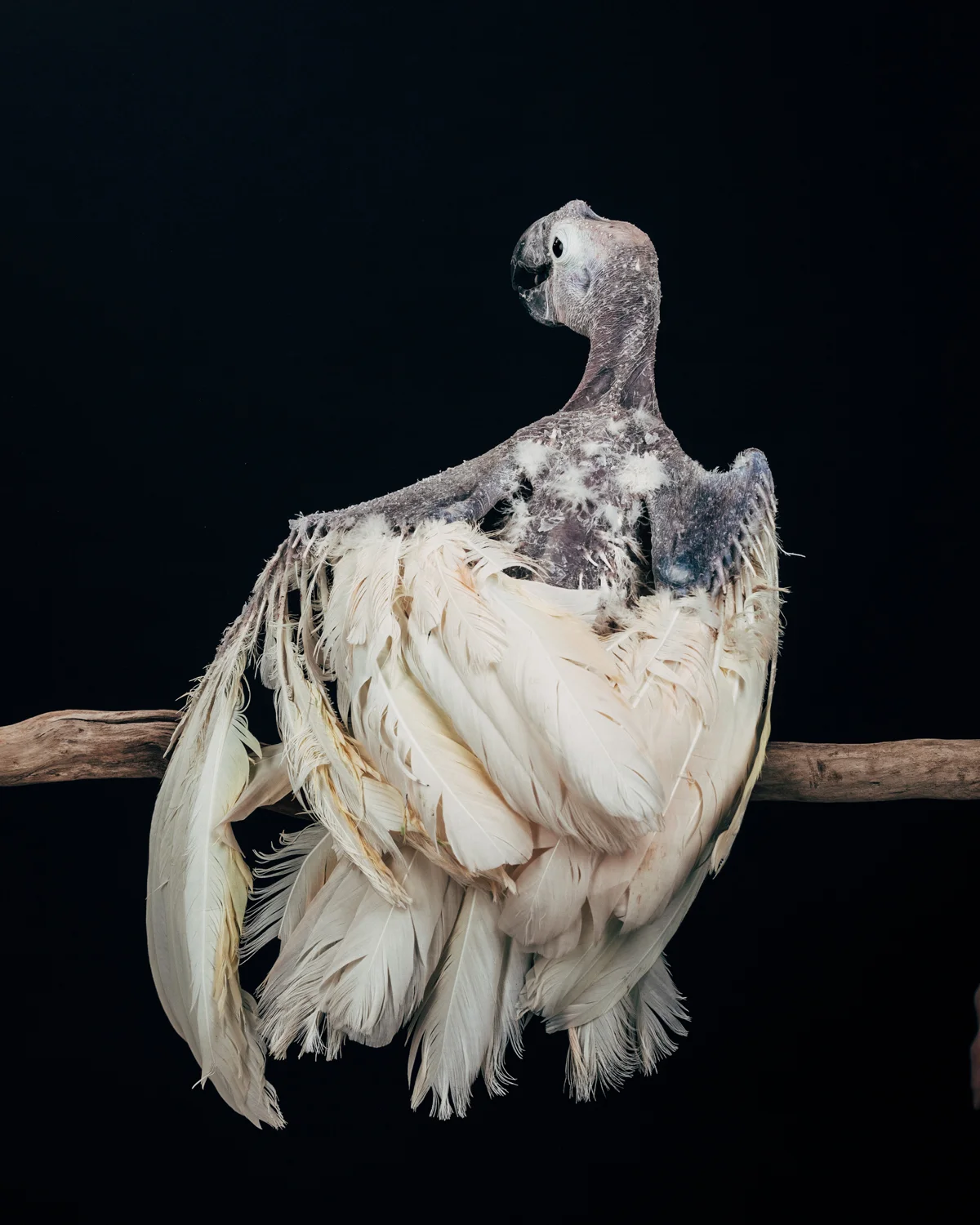 earthbound — Oliver Regueiro