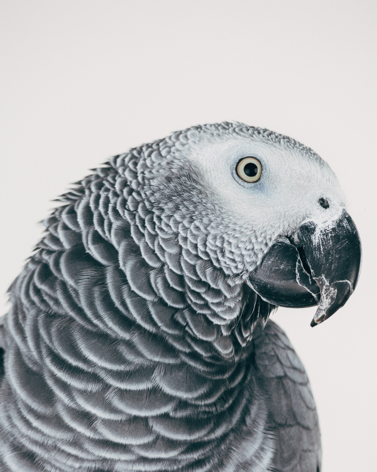 earthbound — Oliver Regueiro