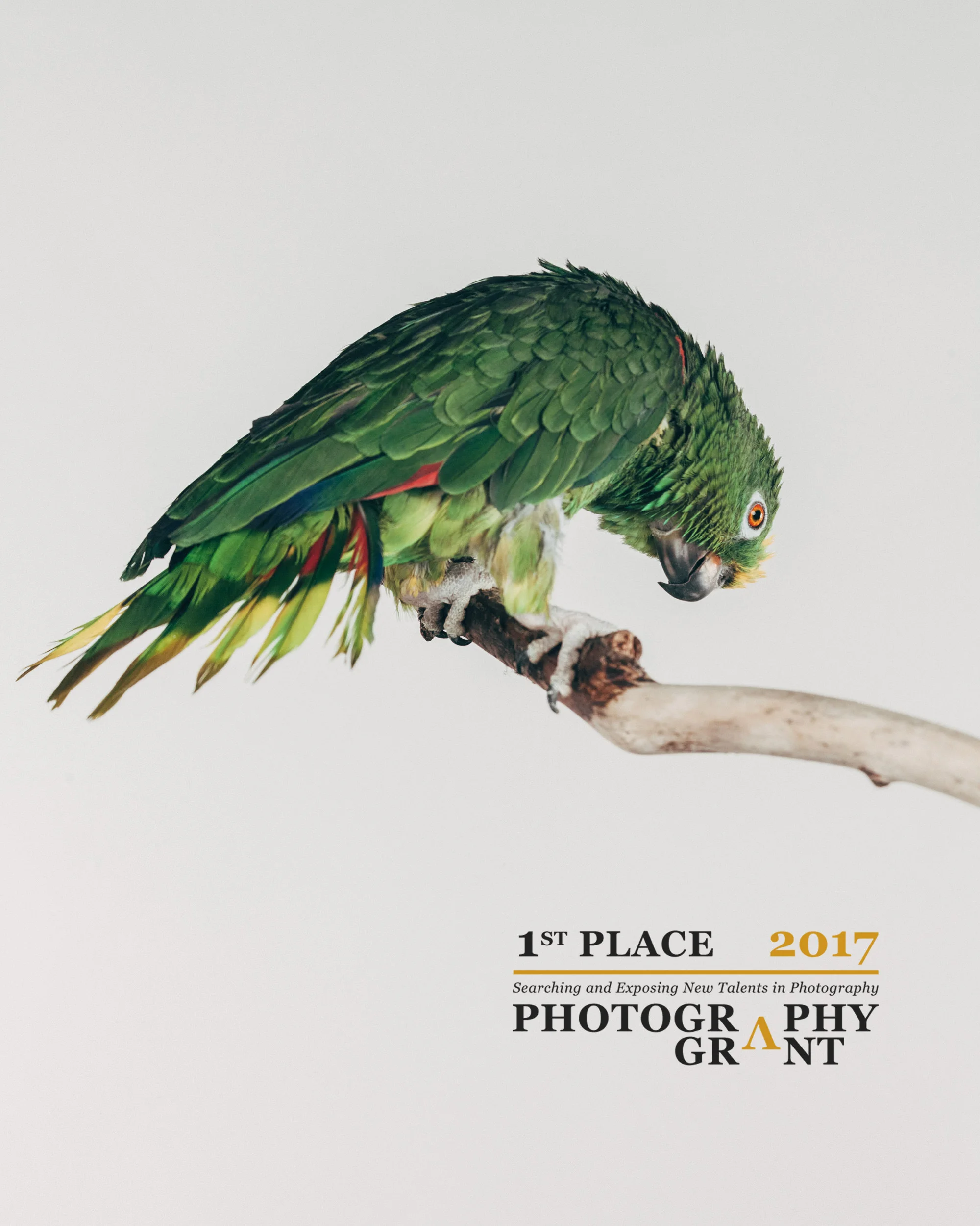 blog — Oliver Regueiro