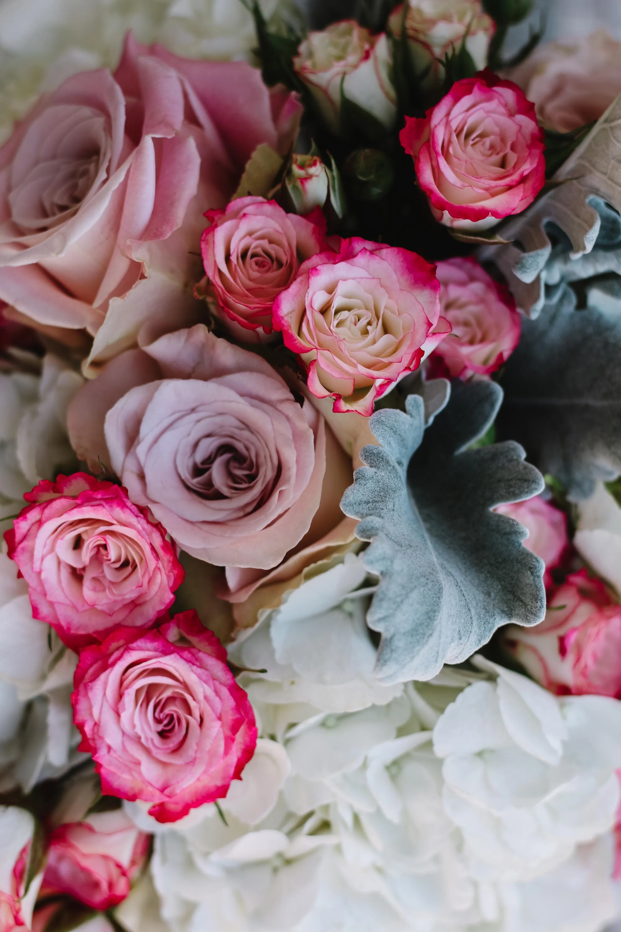 Bow and Rose Floral Studio