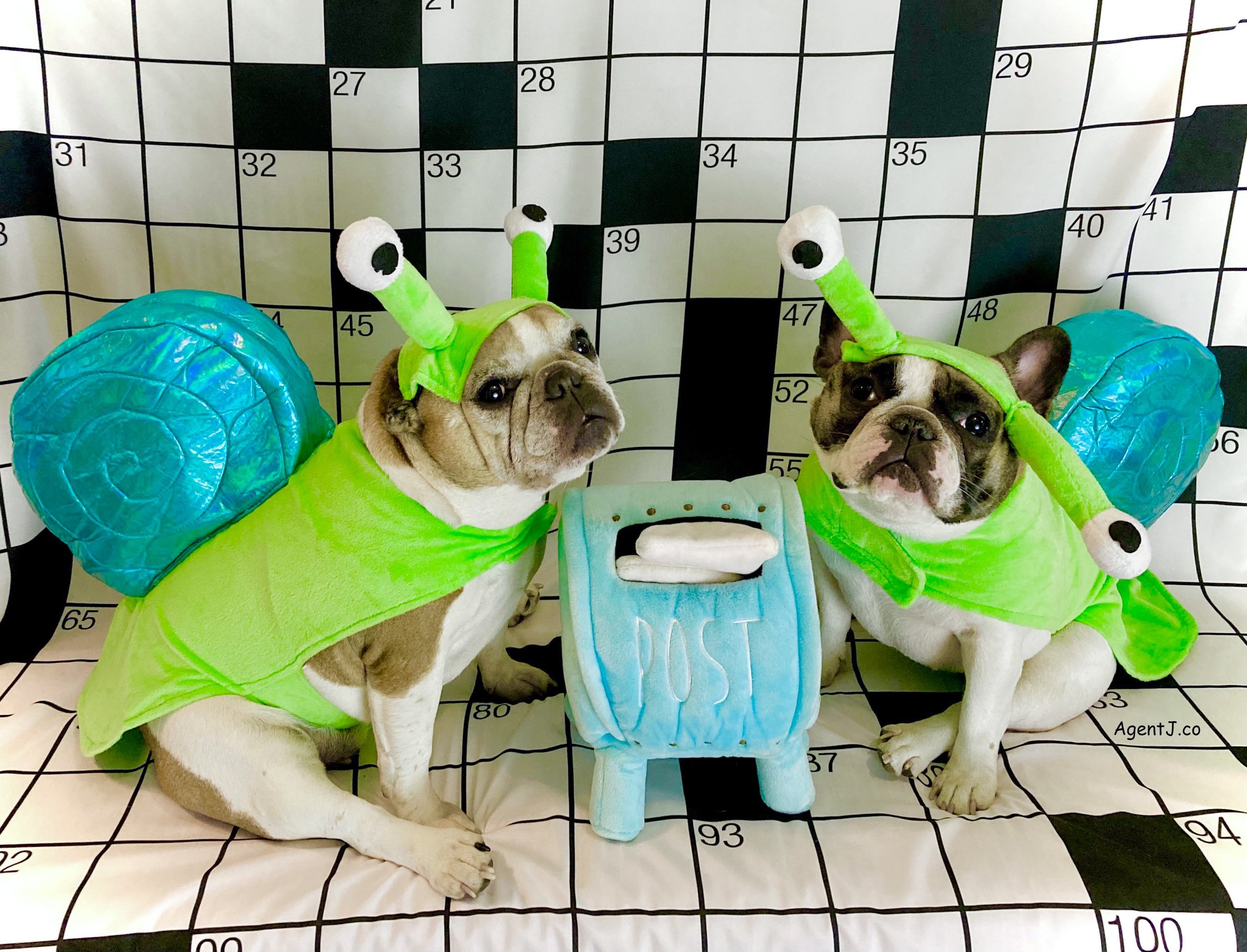 Words With Frenchies — AgenTJ.co
